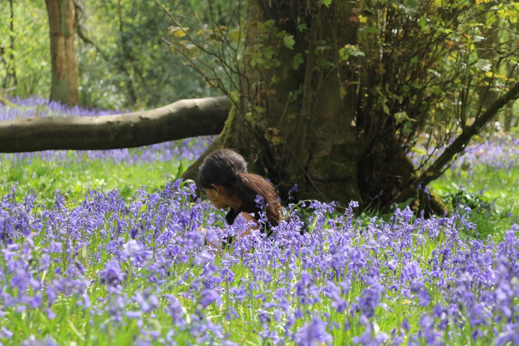 Wild Challenge with RSPB - Five Adventurers